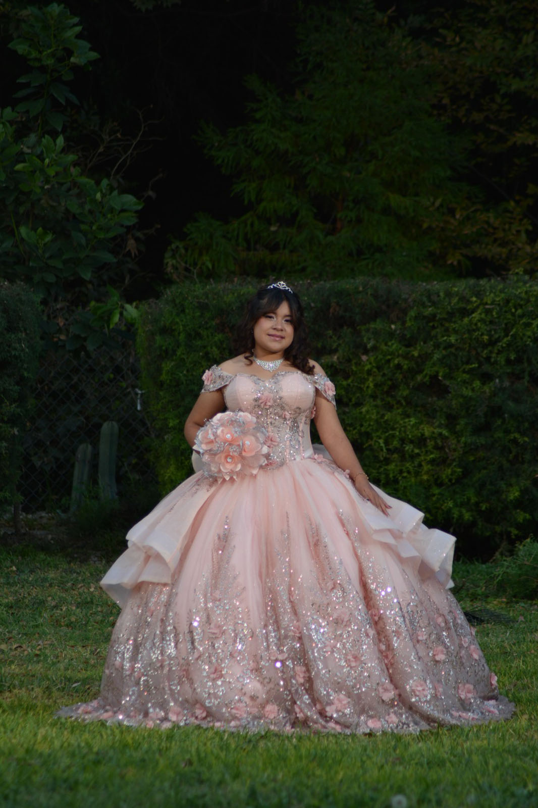 Mis XV Andrea Daniela Paulin García